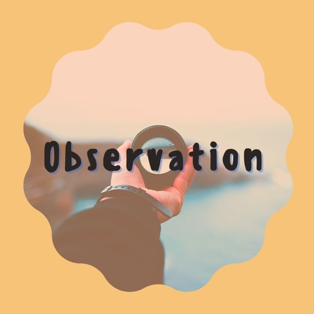 Observation - CueKids Eclass